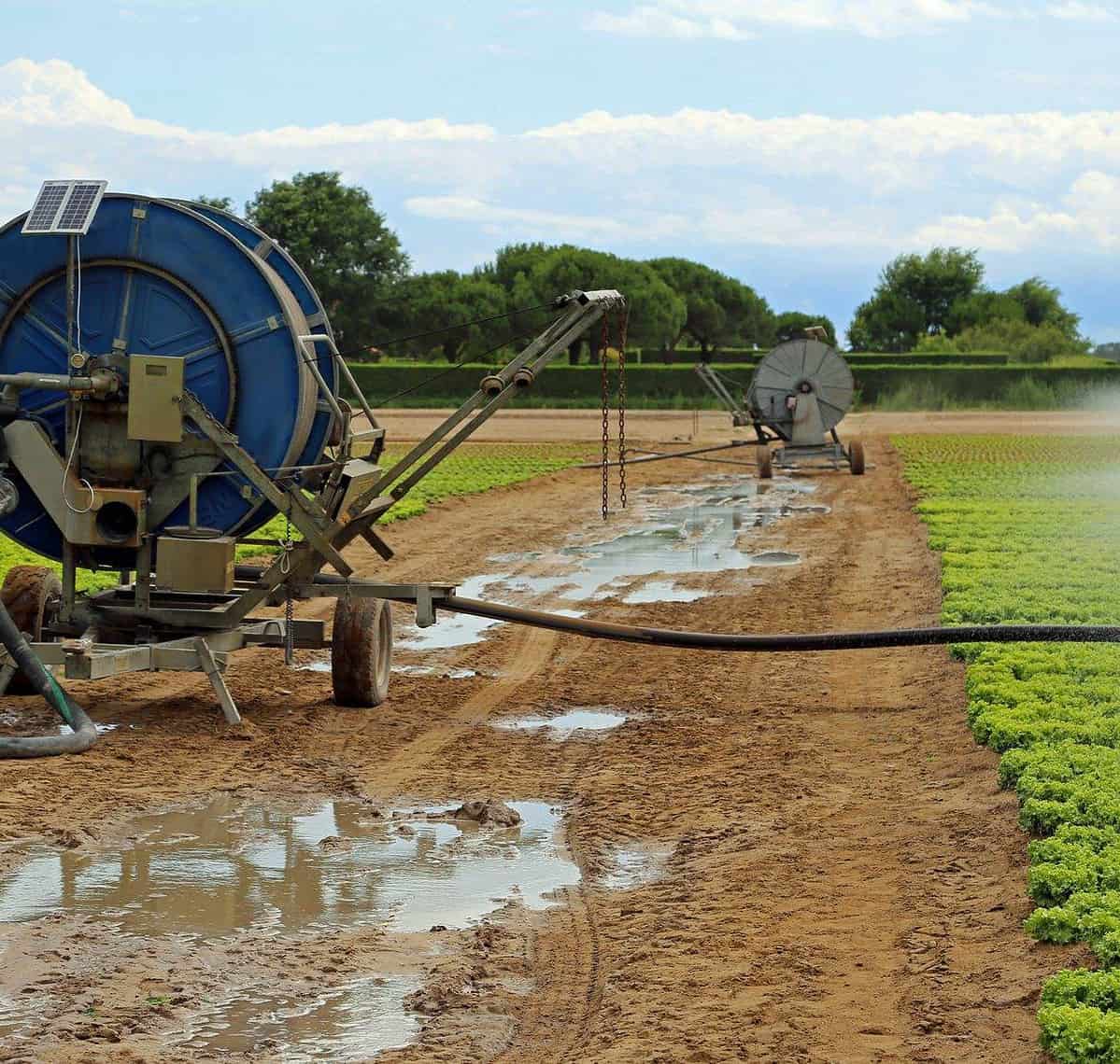 Automation Irrigation System: All You Need To Know - Go Roboted
