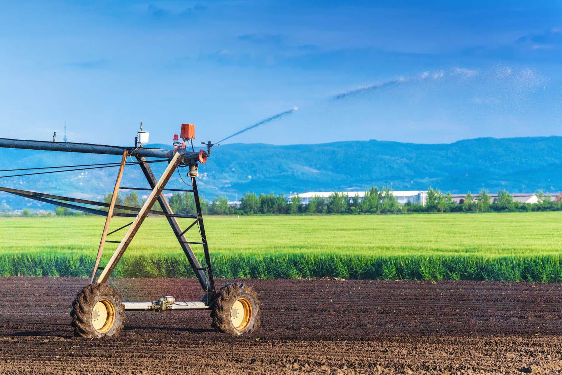 Automation Irrigation System: All You Need To Know - Go Roboted